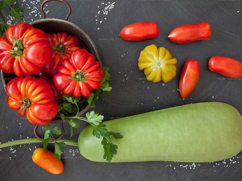 What Does Zucchini Taste Like? Mild Veggie With Hidden Charm - The Liffey